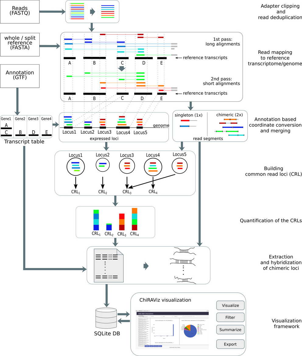 Publikation - CIBSS Centre for Integrative Biological Signalling Studies